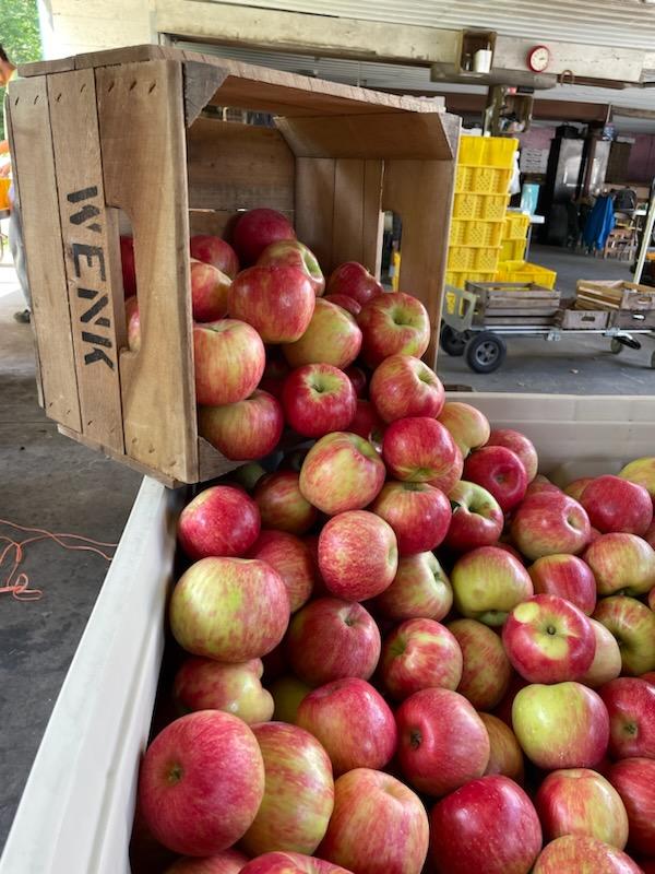 Three Springs Fruit Farm Tagged "apple" - Keystone Sutler