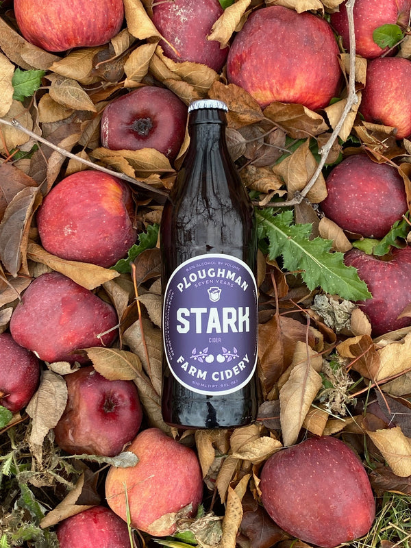 Cider Tagged "apple" - Keystone Sutler